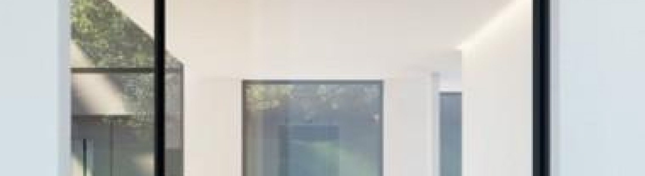 Frameless Glass Pivot Interior Door - Modern Doors